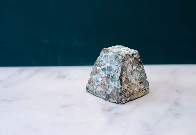 Blackmount - Christmas pre-order – Little Mouse
